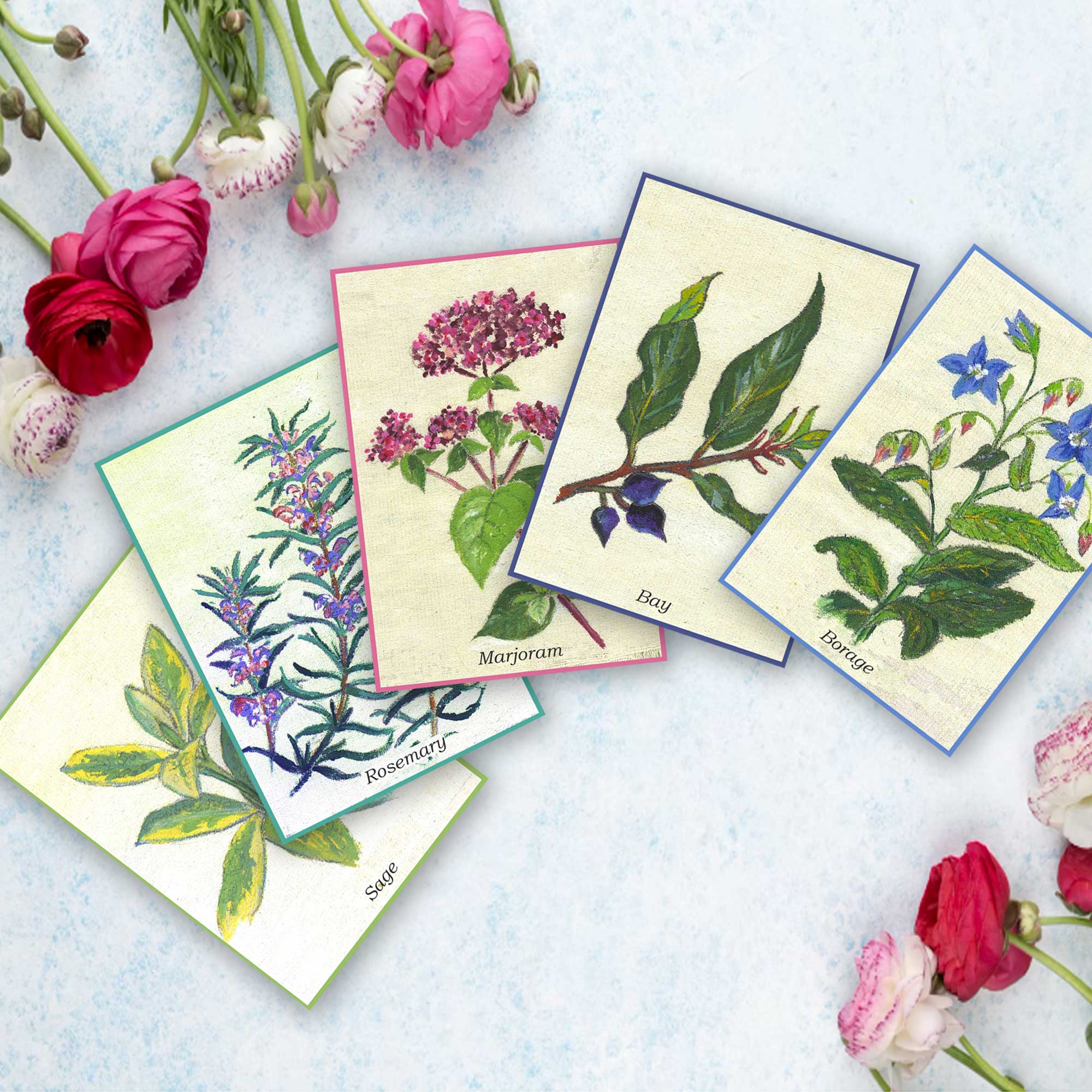 Herb Garden Postcards Set of 5 - Botanical Art Note Card
