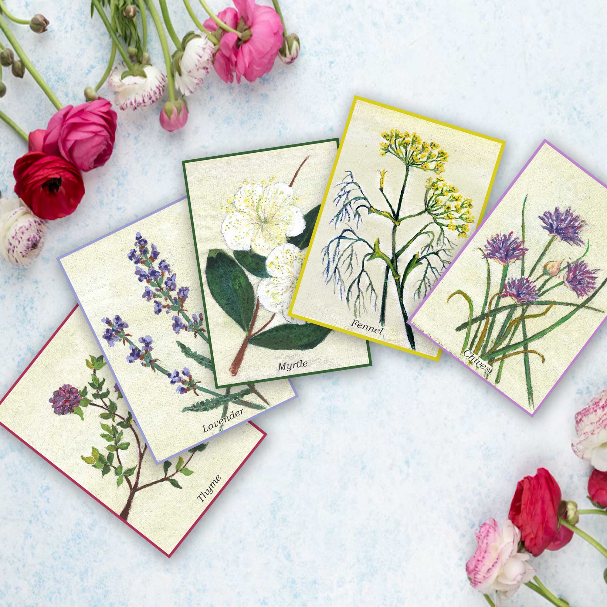 Herb Garden Postcards Set of 5 - Botanical Art Note Card