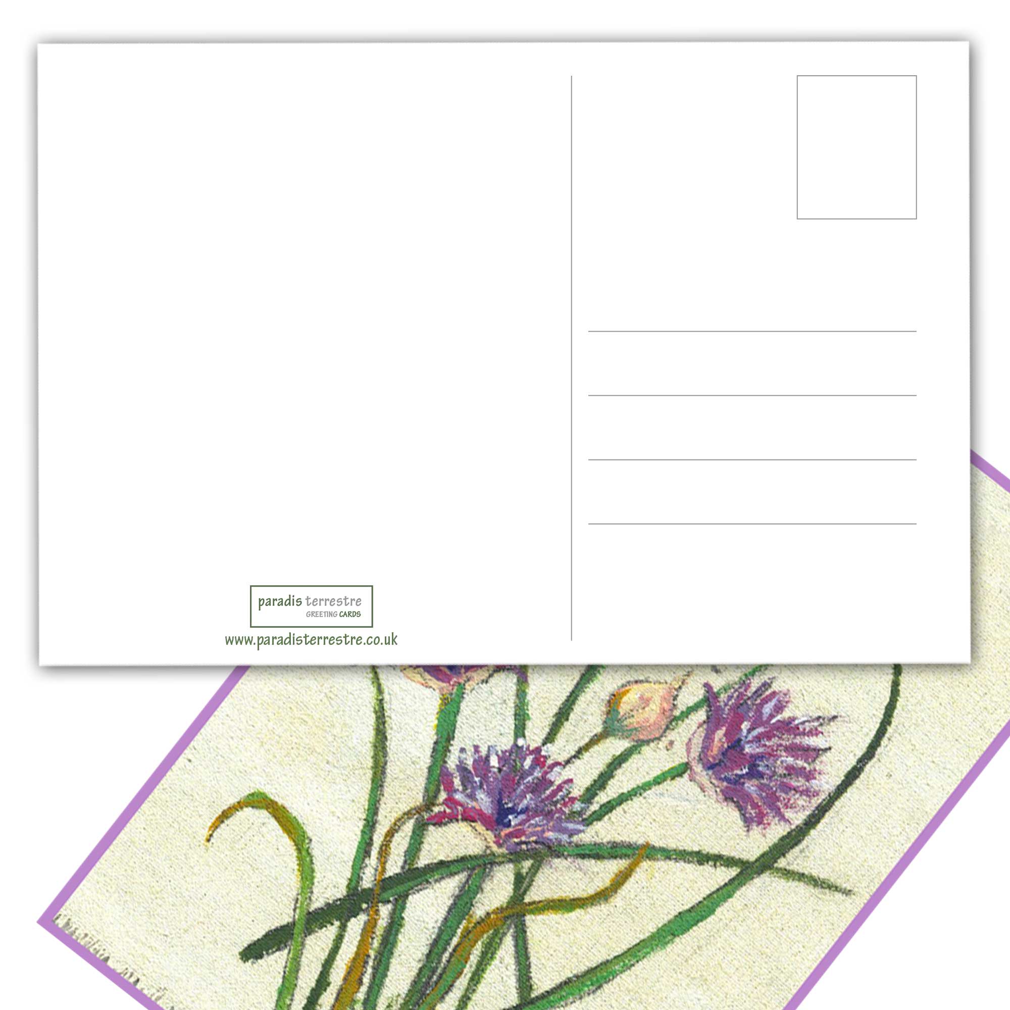 Herb Garden Postcards Set of 5 - Botanical Art Note Card